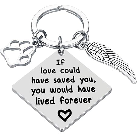 Wyntersemporium Pet Remembrance Dog Cat Keyring Memorial Rainbow Bridge ...