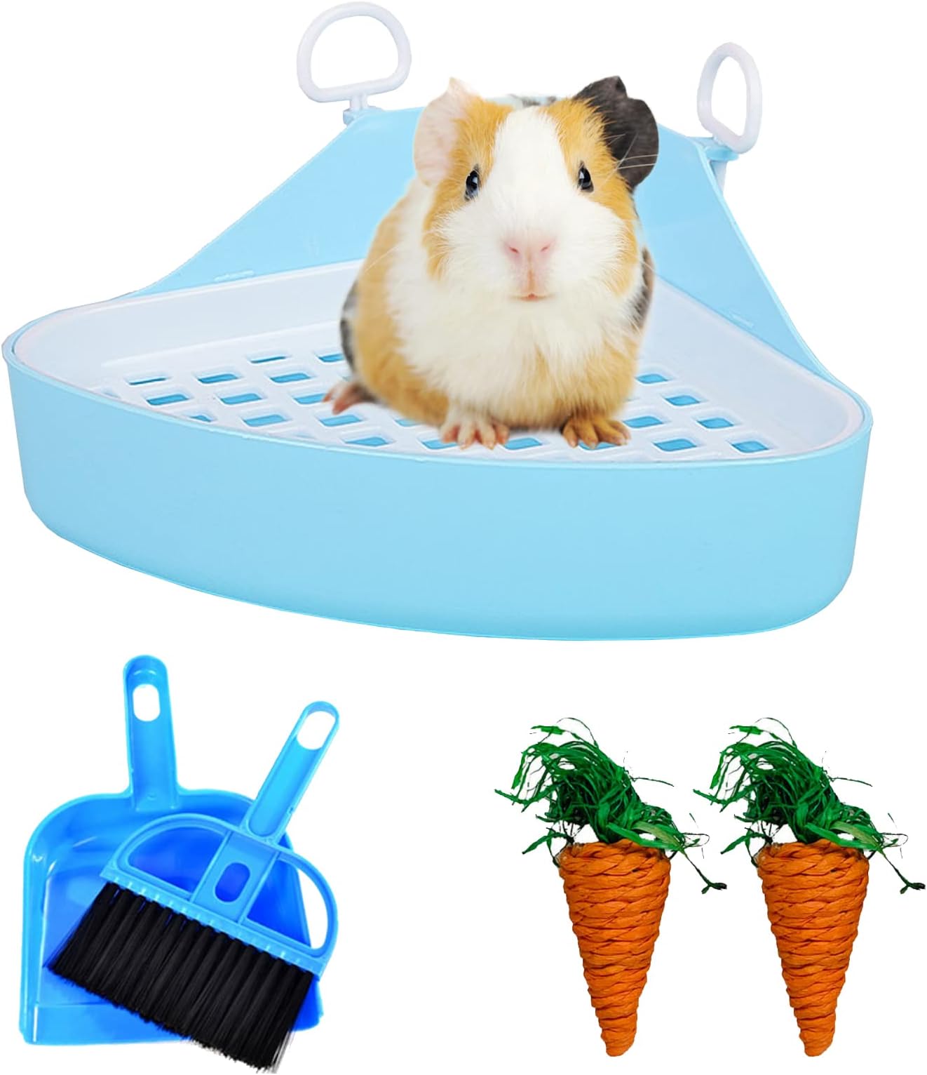 Amazon.com : Hamiledyi Guinea Pig Potty Trainer Corner, Small Animals ...