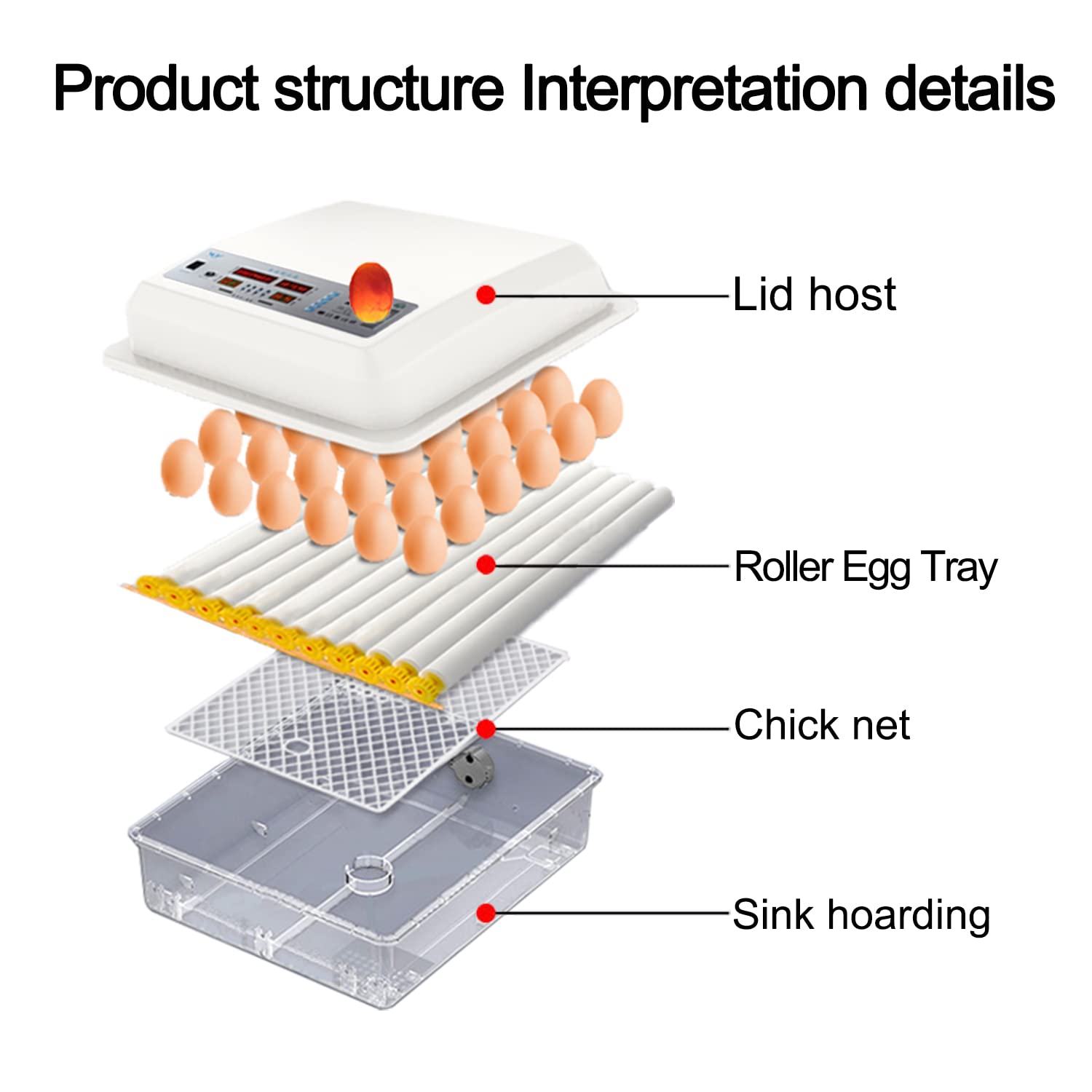 Incubadoras de huevos AKWIN Incubadora automática de pollo, codorniz y ...