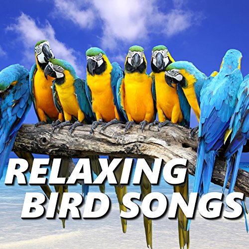 Relaxing Bird Songs by Relaxing Bird Songs on Amazon Music - Amazon.co.uk