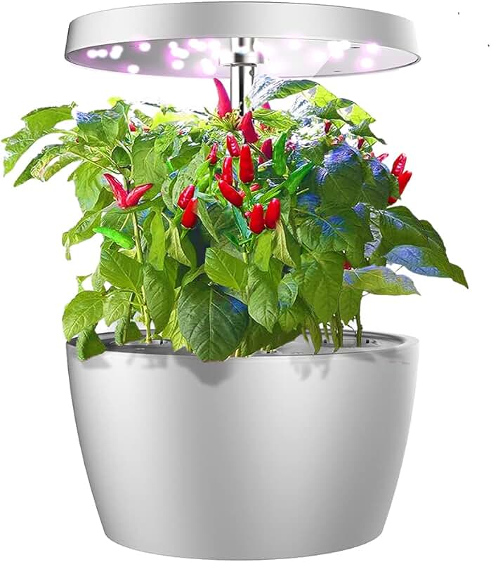 Amazon.com: indoor plant grower