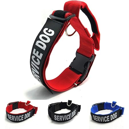 Amazon.com : Service Dog and Emotional Support Animal ESA Collar with ...