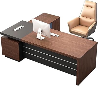 Amazon.com: LITFAD Modern Computer Desk Work from Home Desk with Hutch ...