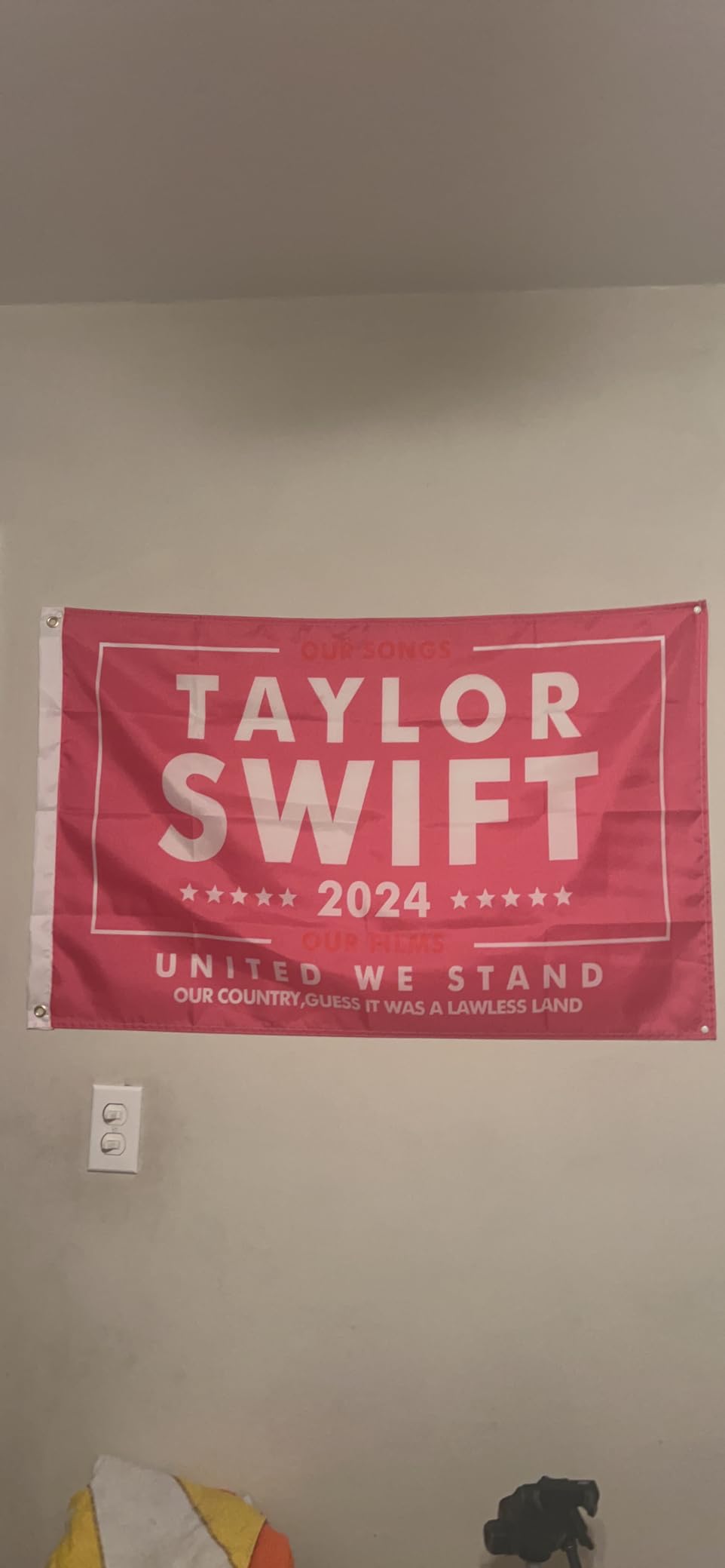 Amazon.com : Taylor 2024 Flag 2x3 Ft Fun and Stylish Pink Musician ...