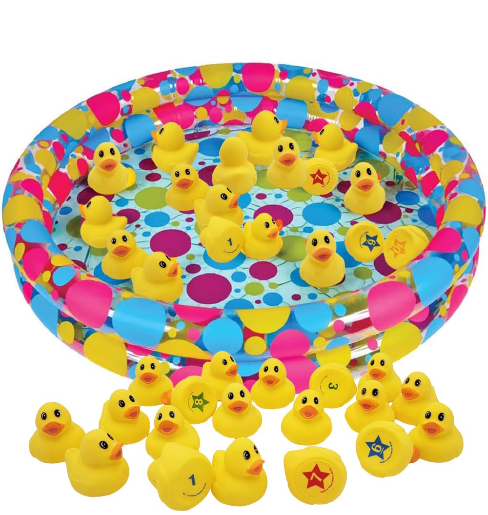 Buy The Dreidel Company Duck Pond Matching Game Includes 20 Ducks with ...