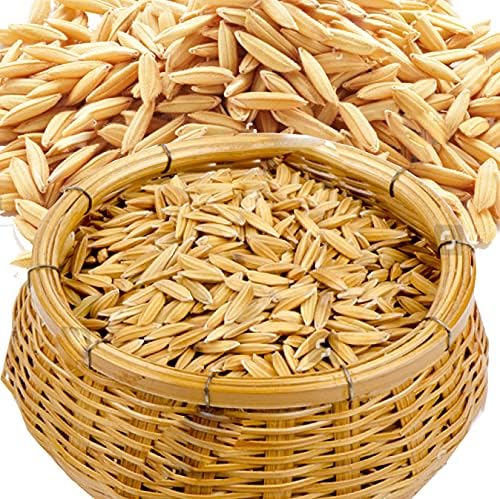 Dhan Paddy Seeds - Vadlu - For Pooja & Germination | Pooja Dhaan, Puja ...