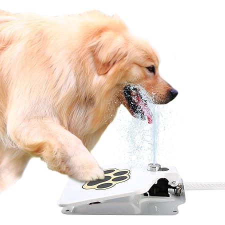 Pet Supplies : GoodBoy Water Fountain for Dogs – Interactive Paw Pedal ...