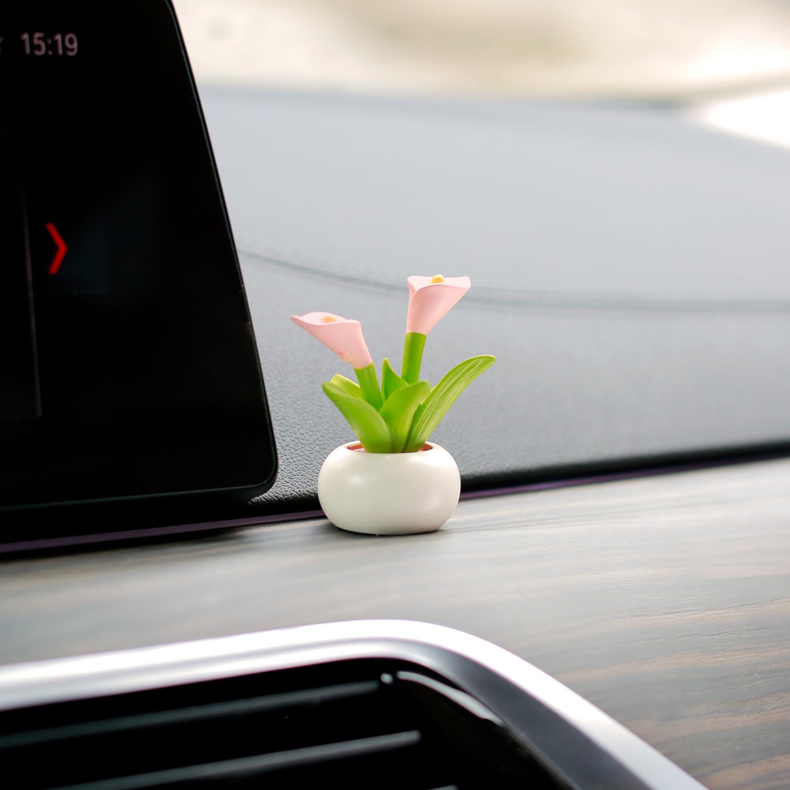 Amazon.com: YGMONER Car Dashboard Plant Resin Flower Pot Knick Knacks ...