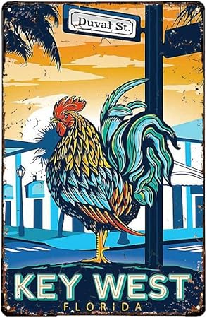 Amazon.com: Retro New Metal Tin Sign Poster Wall Decor Art Chicken Key ...