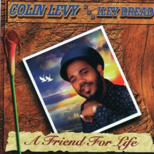 Amazon.com: A Friend for Life : colin Levy: Digital Music
