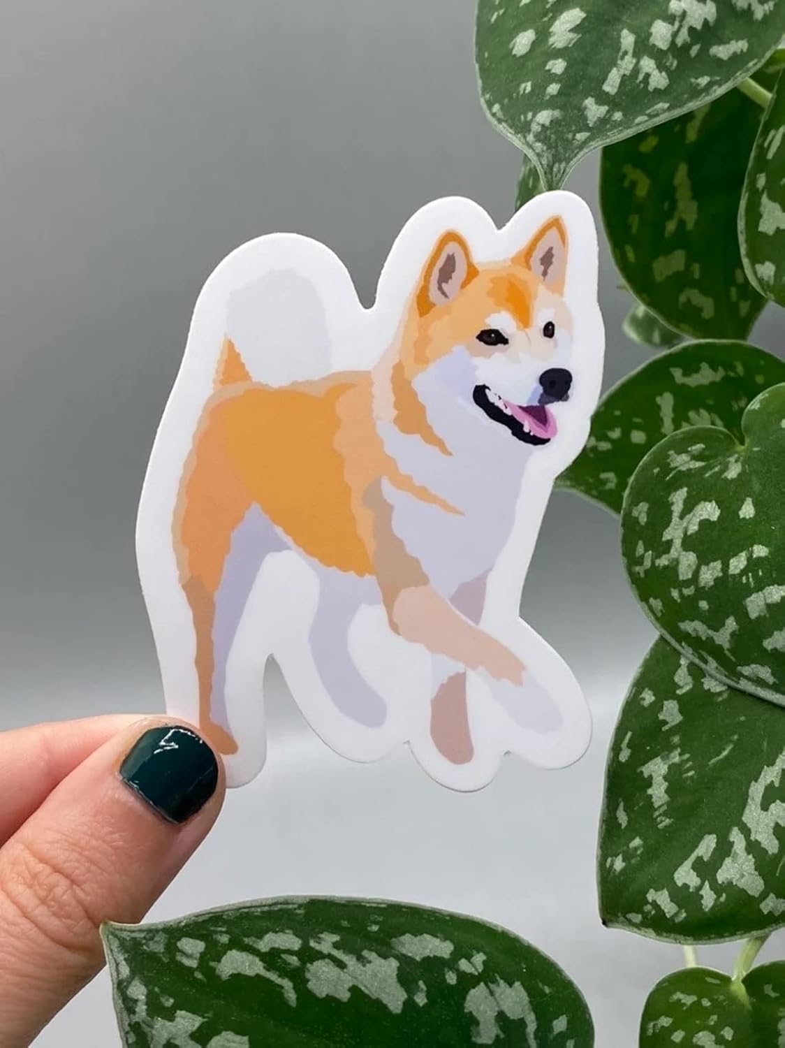 Amazon.com - Shiba-Inu Dog Sticker Decal for Laptop Wall Car Window ...