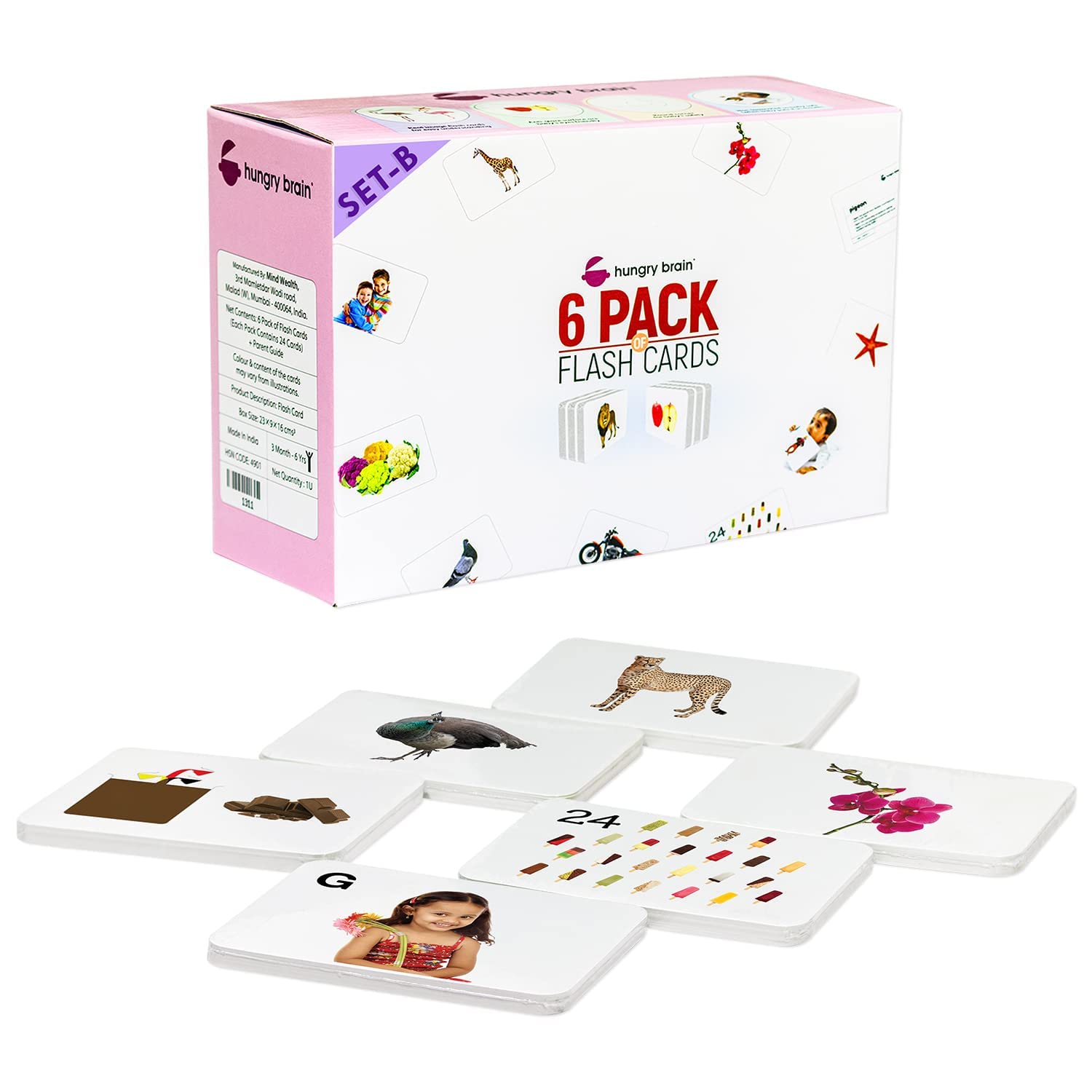 Buy 6 Set of Combo hungry brain Flash Cards for Babies and Infants for ...