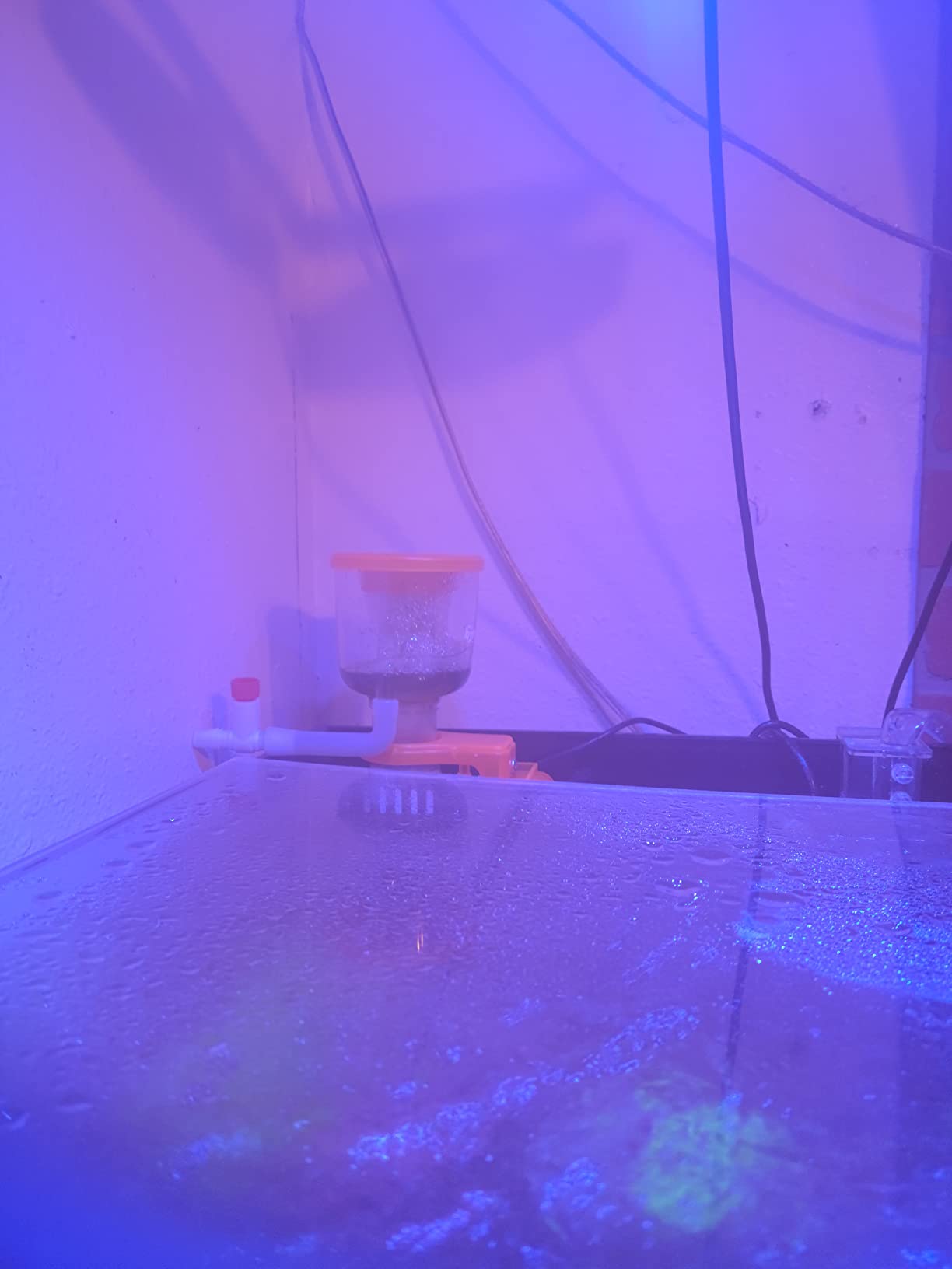 Amazon.com : hygger Protein Skimmers for Saltwater Aquariums, DC Pump ...