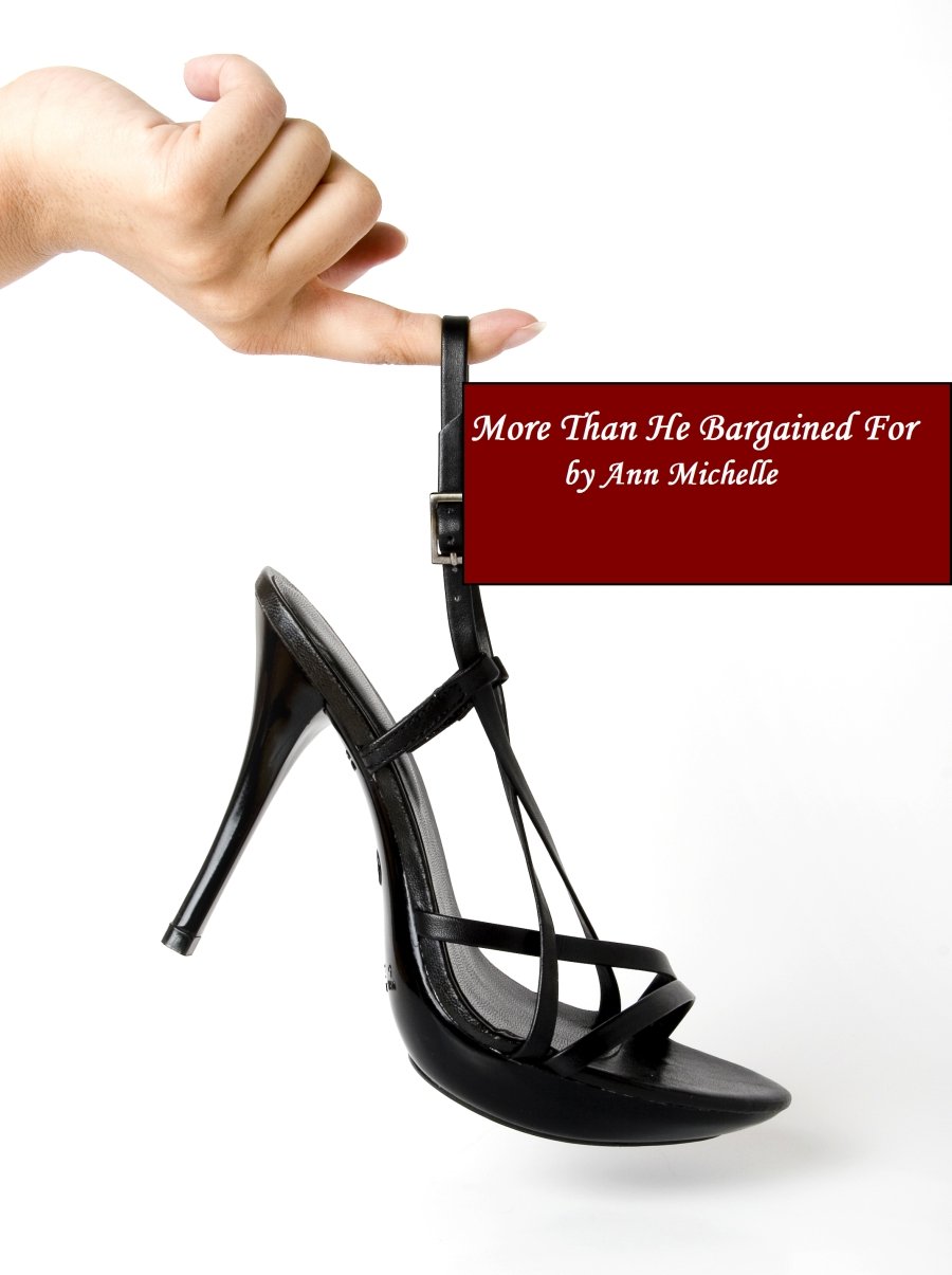 More Than He Bargained For Kindle Edition By Michelle Ann more-than-he-bargained-for-kindle-edition-by-michelle-ann