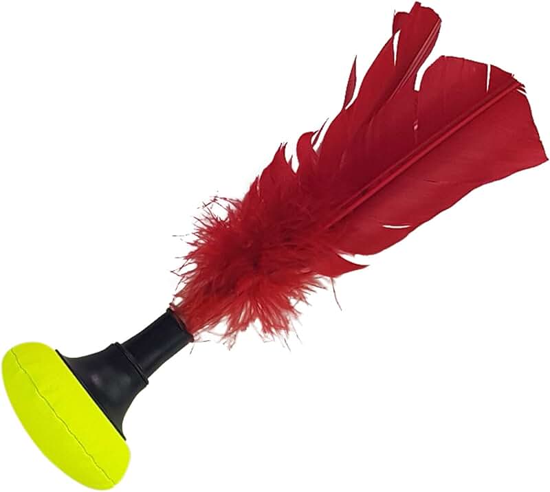 Suchergebnis auf Amazon.de für: indiaca ball