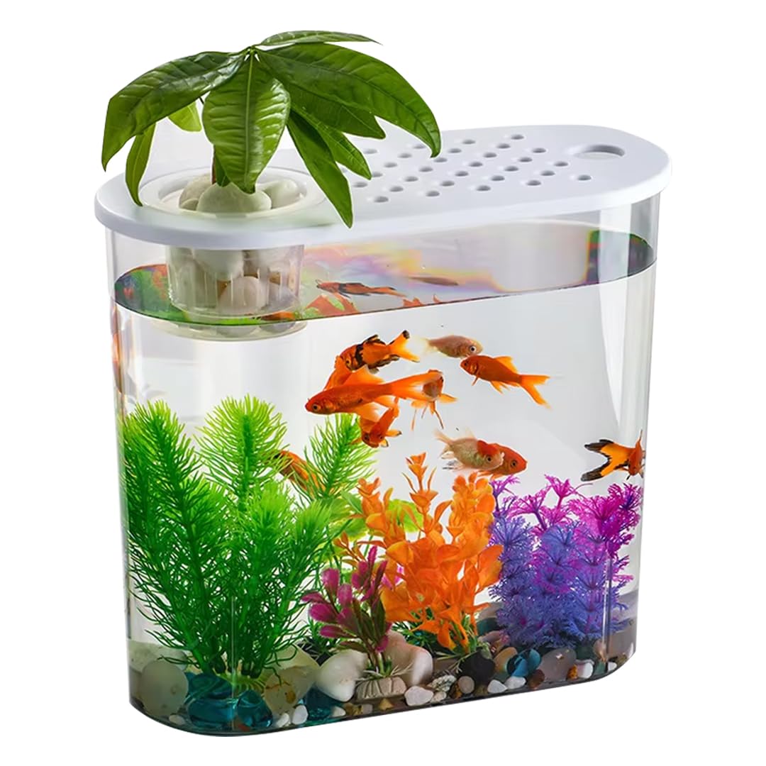 Small Fish Tank with Planting Basket, Polycarbonate, for Guppies ...