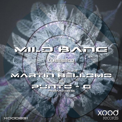 White Kush – Die 16 besten Produkte im Vergleich & Angebote ...