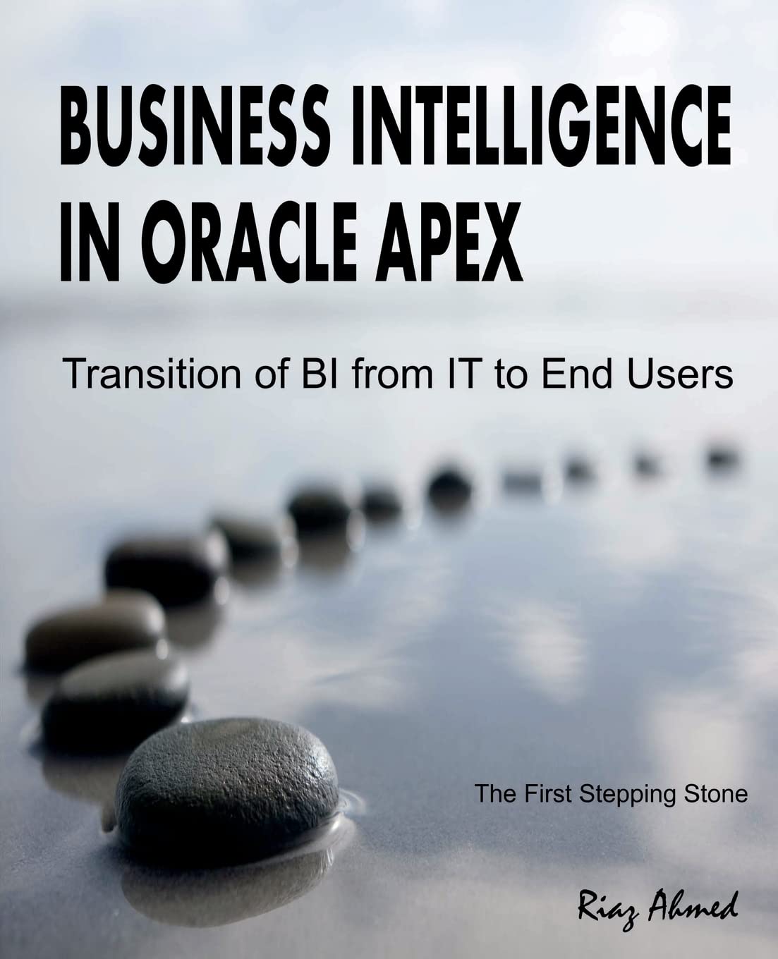 Business Intelligence in Oracle APEX: Transition of BI from IT to End ...