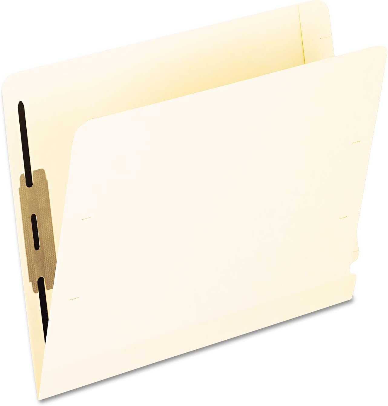 Amazon.com : Pendaflex 13160 Laminated Spine Folders, 2 Fasteners ...