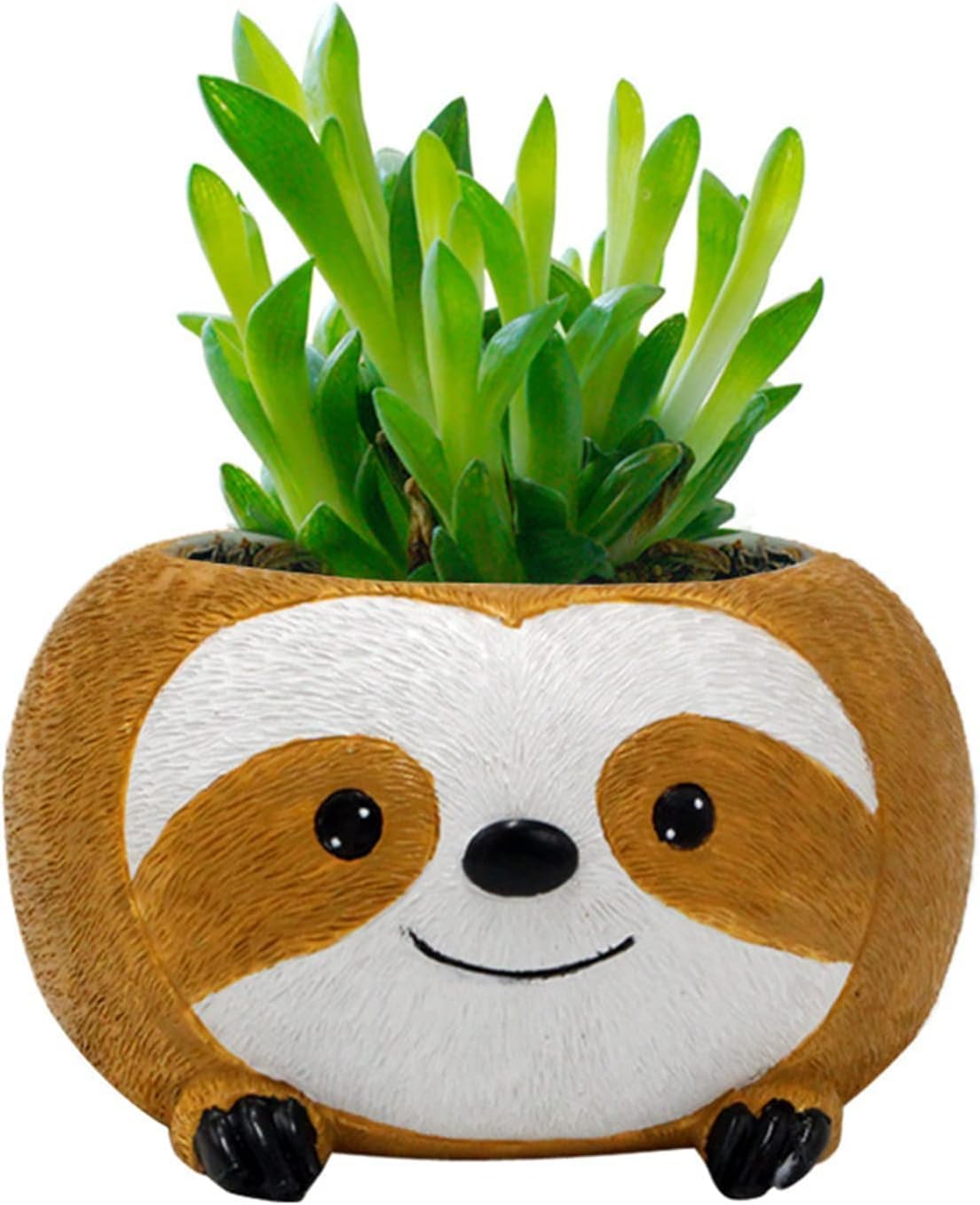 Amazon.com: Cute Sloth Head Indoor Planter Pot, Unique Small Succulent ...