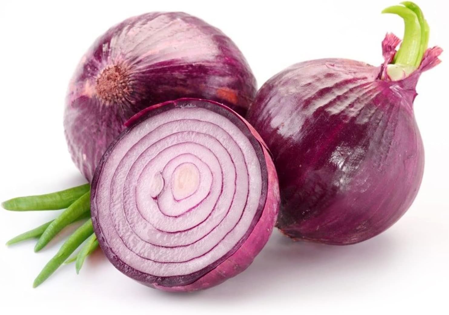 Amazon.com : 【1500 Seeds】 Red Grano Onion Seeds,Non GMO Seeds : Patio ...