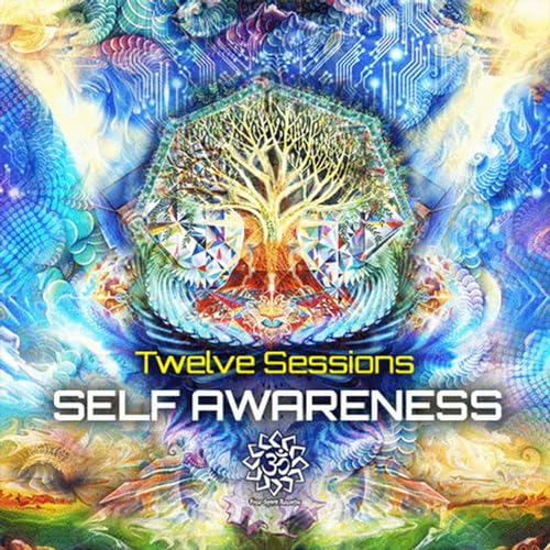 Amazon.com: Self Awareness : Twelve Sessions: Digital Music