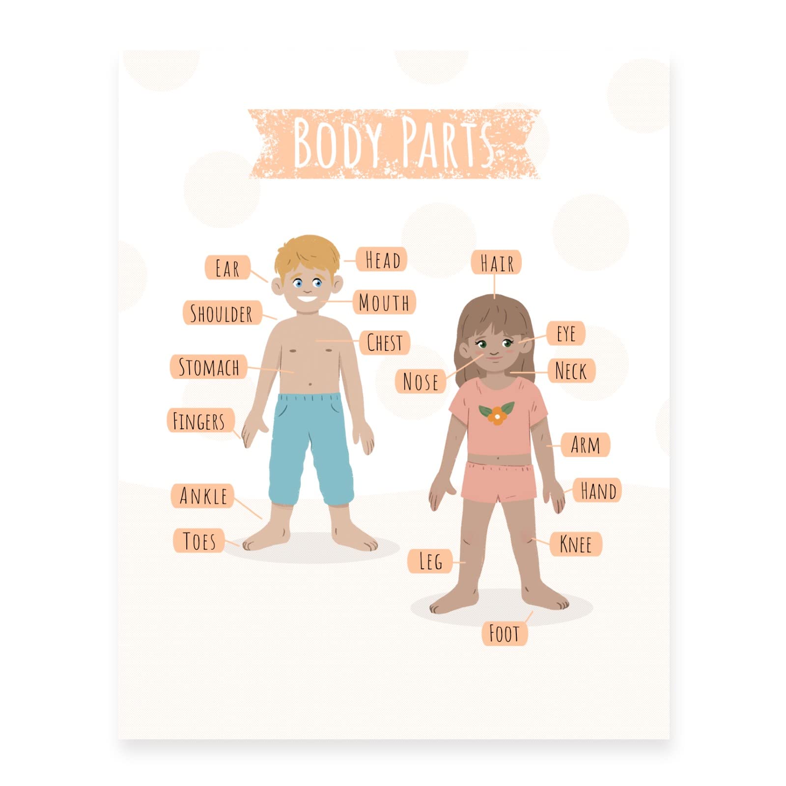 Amazon.com: Body Parts Educational Wall Art Poster For Kids - Nursery ...