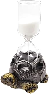 Creating Timers With Turtle: A Simple Guide | PetShun