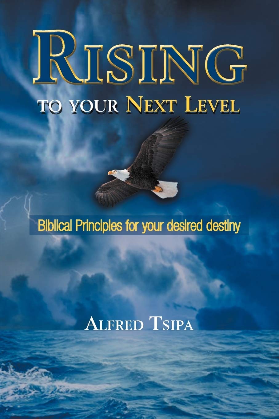 Rising to Your Next Level: Biblical Principles for Your Desired Destiny ...