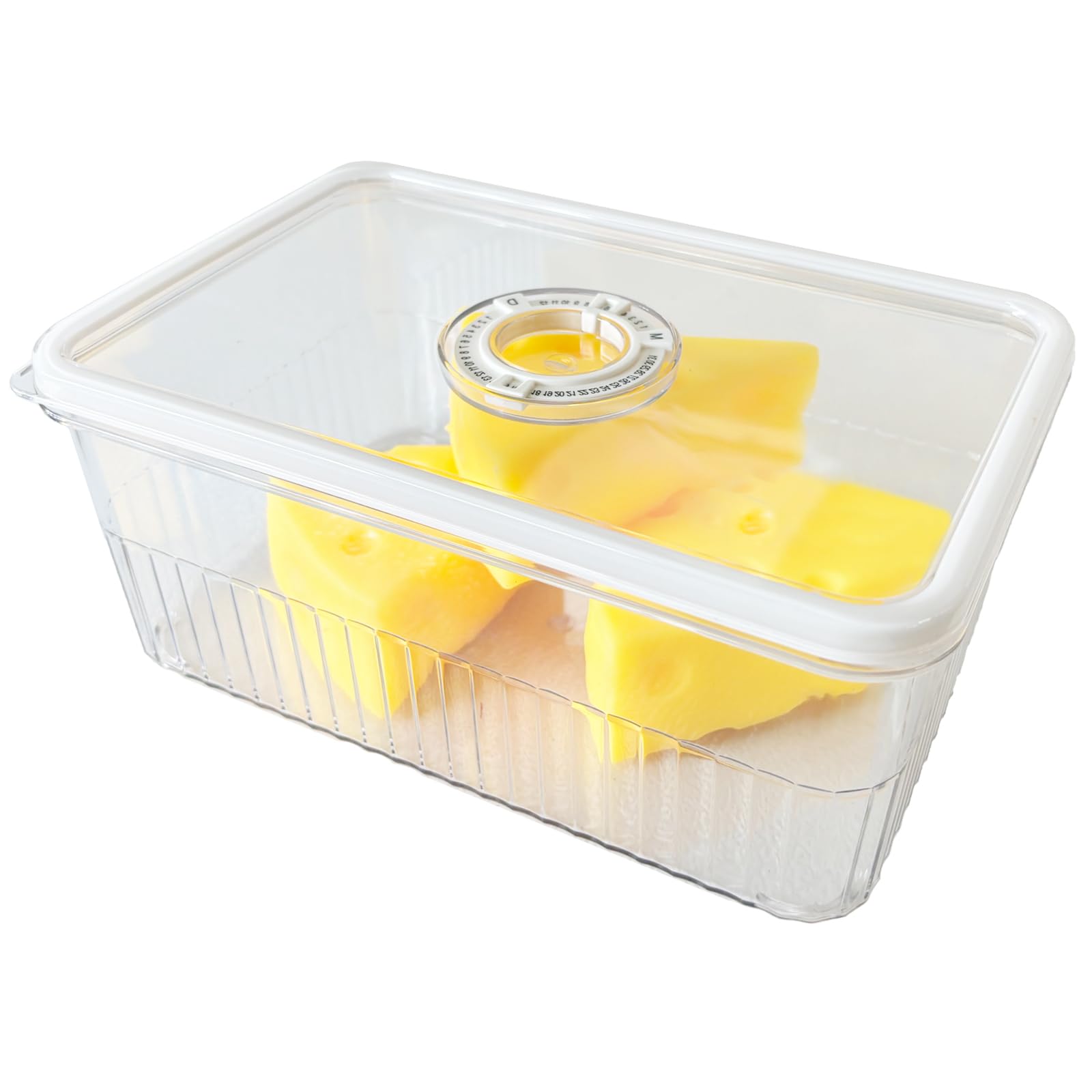 Amazon.com: LAMIVEENLA Cheese Container for Refrigerator with Date Dial ...