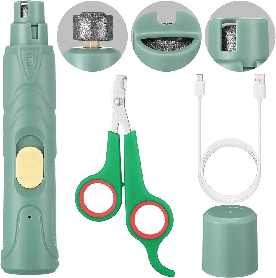 How To Safely And Properly Cut Your Parrot's Nails | PetShun