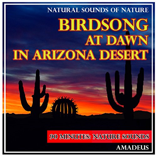 Play Birdsong at Dawn in Arizona Desert: Natural Sounds of Nature by ...
