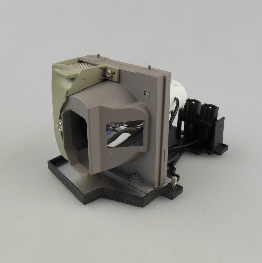 Amazon.com: BL-FP230C/SP.85R01GC01/SP.85R01G.C01 Replacement Projector ...