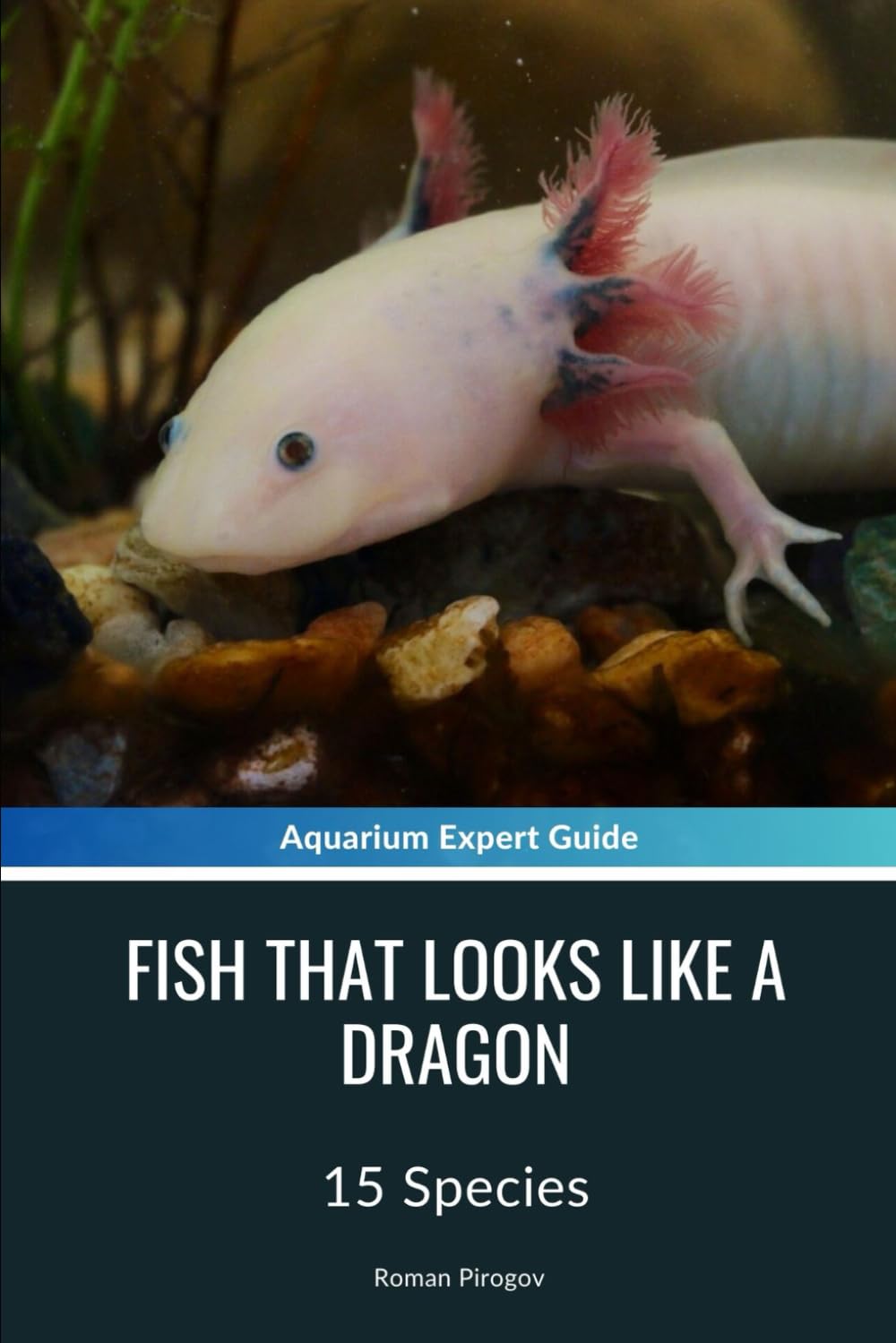 Fish That Looks Like A Dragon Get Inspired With This Dragonface