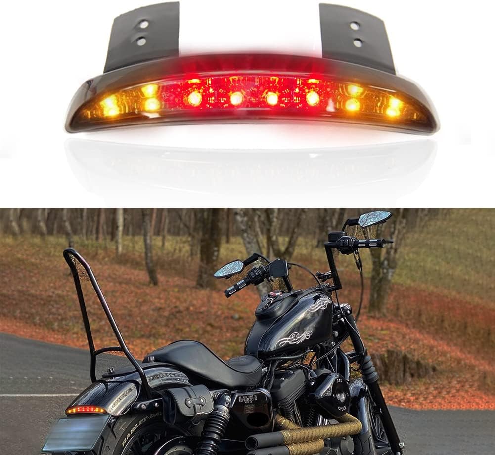 Amazon.com: Rich Choices Motorcycle Rear Fender Edge LED Braking ...