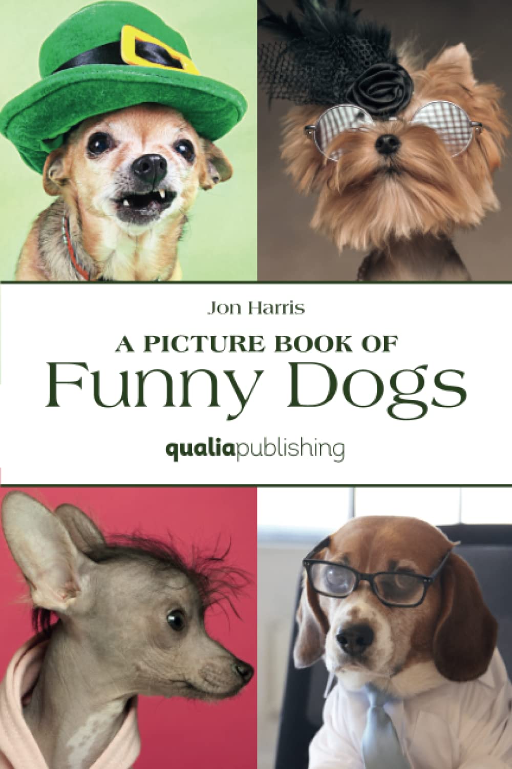 A Picture Book of Funny Dogs: Relaxing Gift for Seniors with Dementia ...