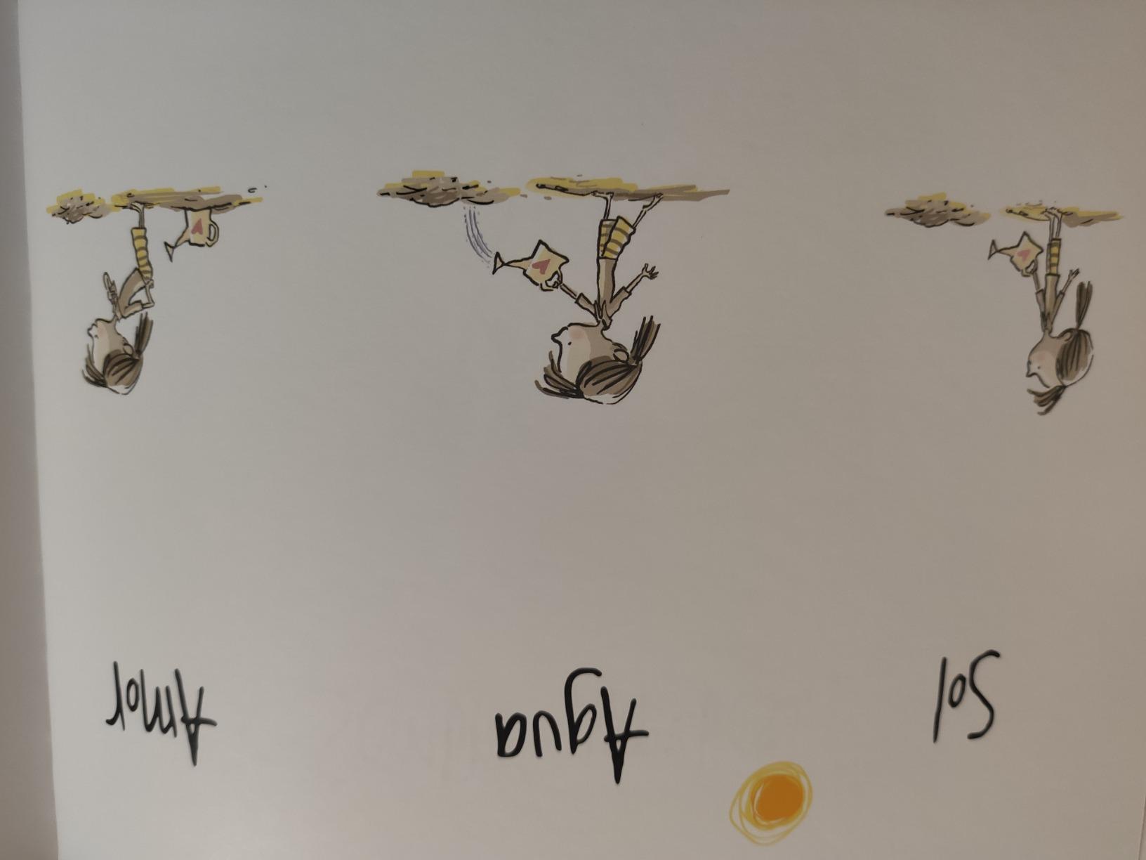 Siembra Un Beso (Los álbumes) - Español : Krouse Rosenthal, Amy ...