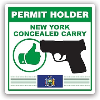 Understanding New York's Concealed Carry Laws: A Comprehensive Guide | LawShun
