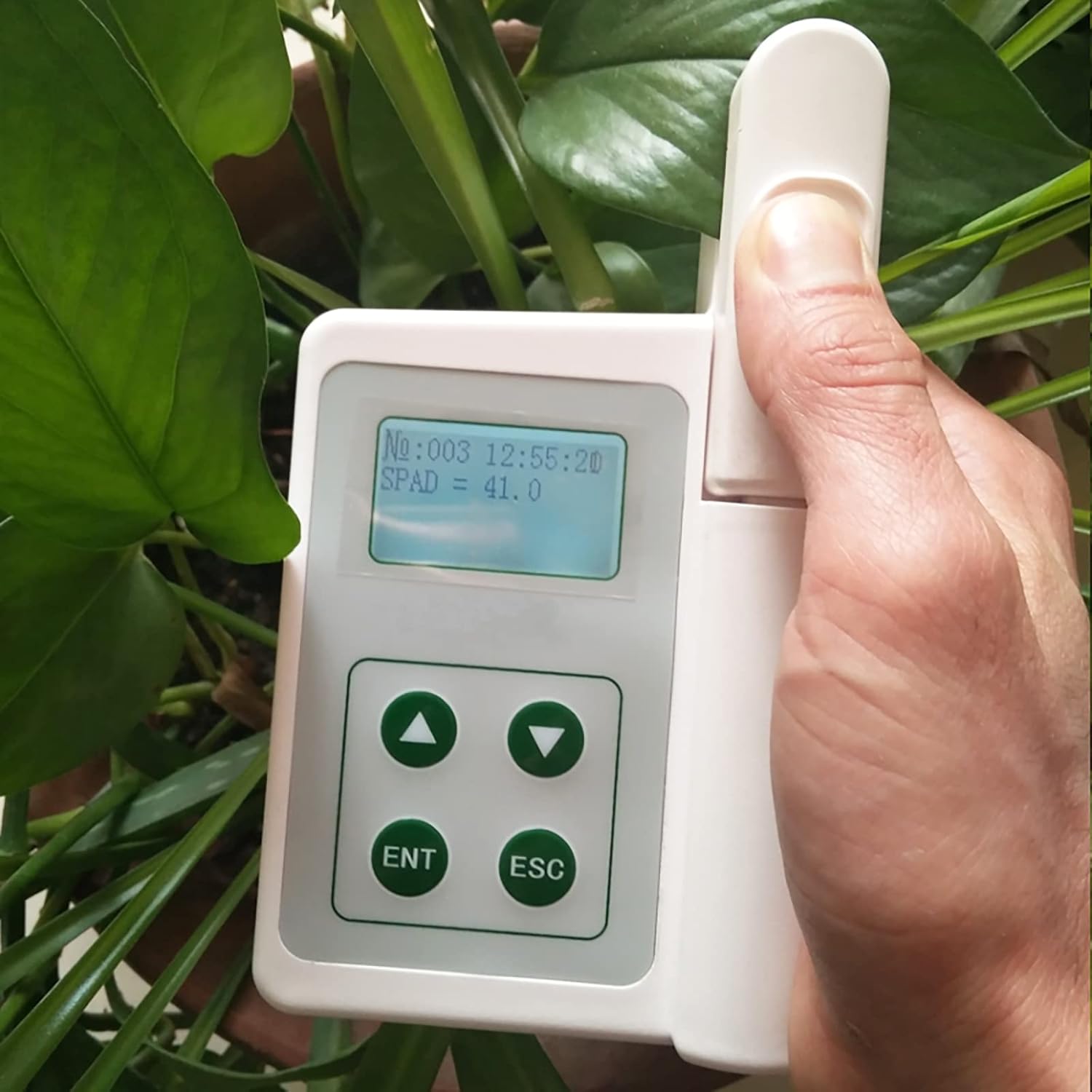 Amazon.com: Portable Chlorophyll Meter Plant Leaf Chlorophyll Analyzer ...