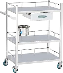 Medical Trolley Stainless Steel Rolling Cart 2-Layer for Clinic ...