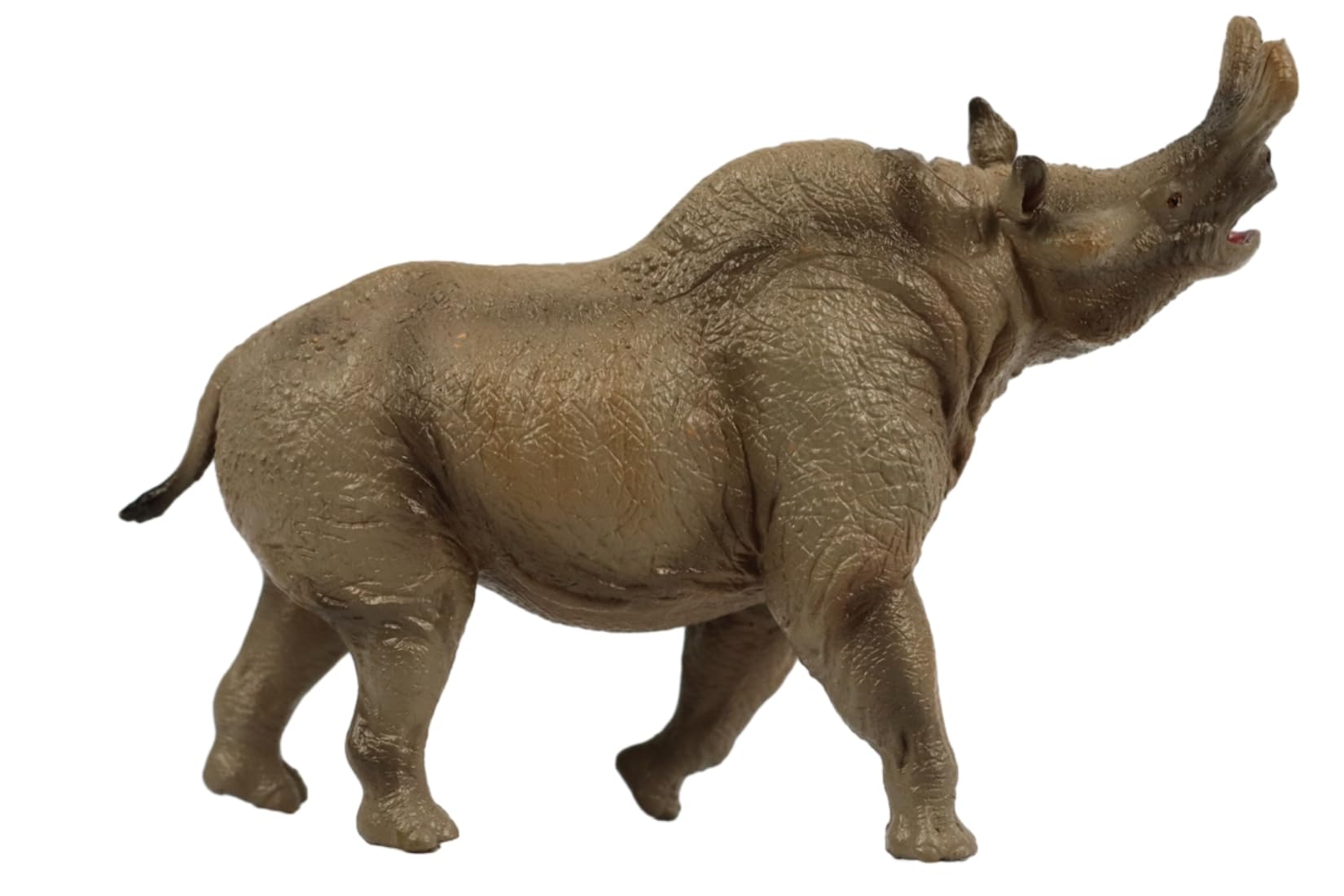 Brontotherium