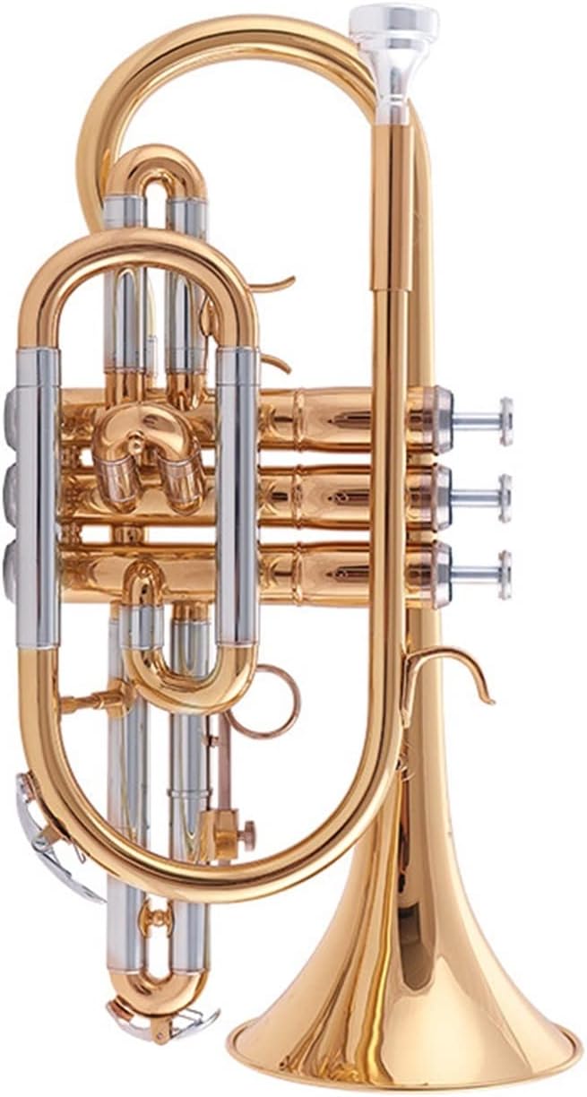 Amazon.com - Trumpet Instrument Cornet Instrument Trumpet Instrument ...