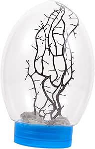 Amazon.com : Beavorty Ecosystem Fish Tank Led Light Self-Growing Shrimp Ecosphere for Home ...