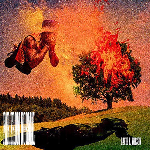 Amazon.co.jp: Far From Normal : David E. Wilson: デジタルミュージック