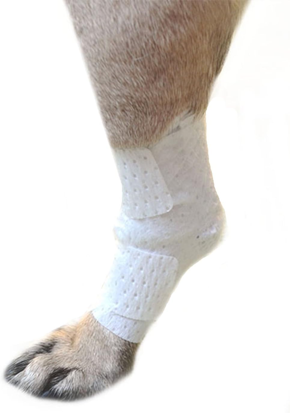 Amazon.com : Pawflex Bandages Universal Joint Bandages for Pets (Pack ...
