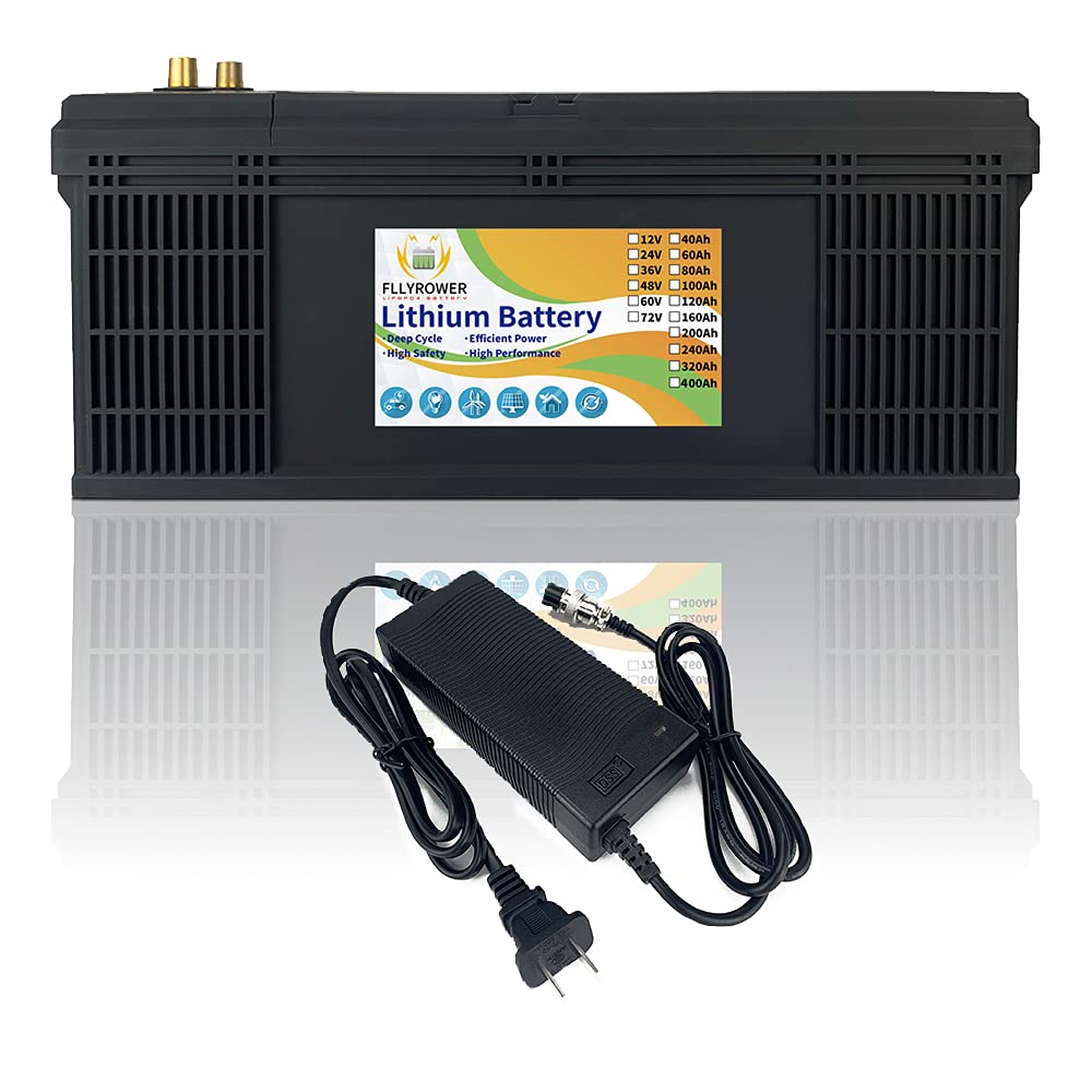 FLYPOWER 12v 240Ah LifePo4 Battery Up to 7000 Deep Cycles with BMS ...