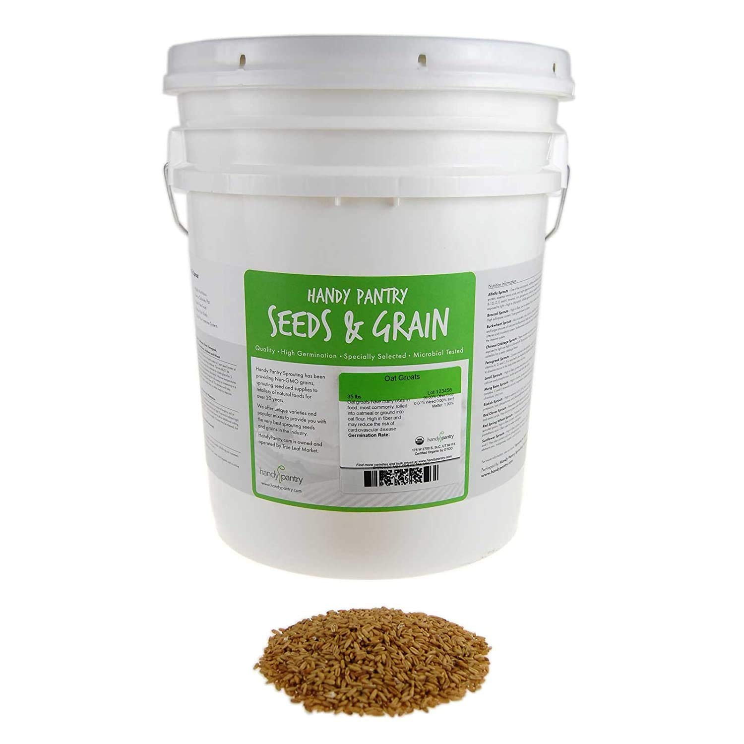 Amazon.com: Organic Hulled Oat Groats - 30 Lbs - Oats - Hull Removed ...