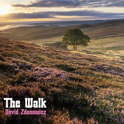 The Walk by David Zdanowicz on Amazon Music - Amazon.co.uk