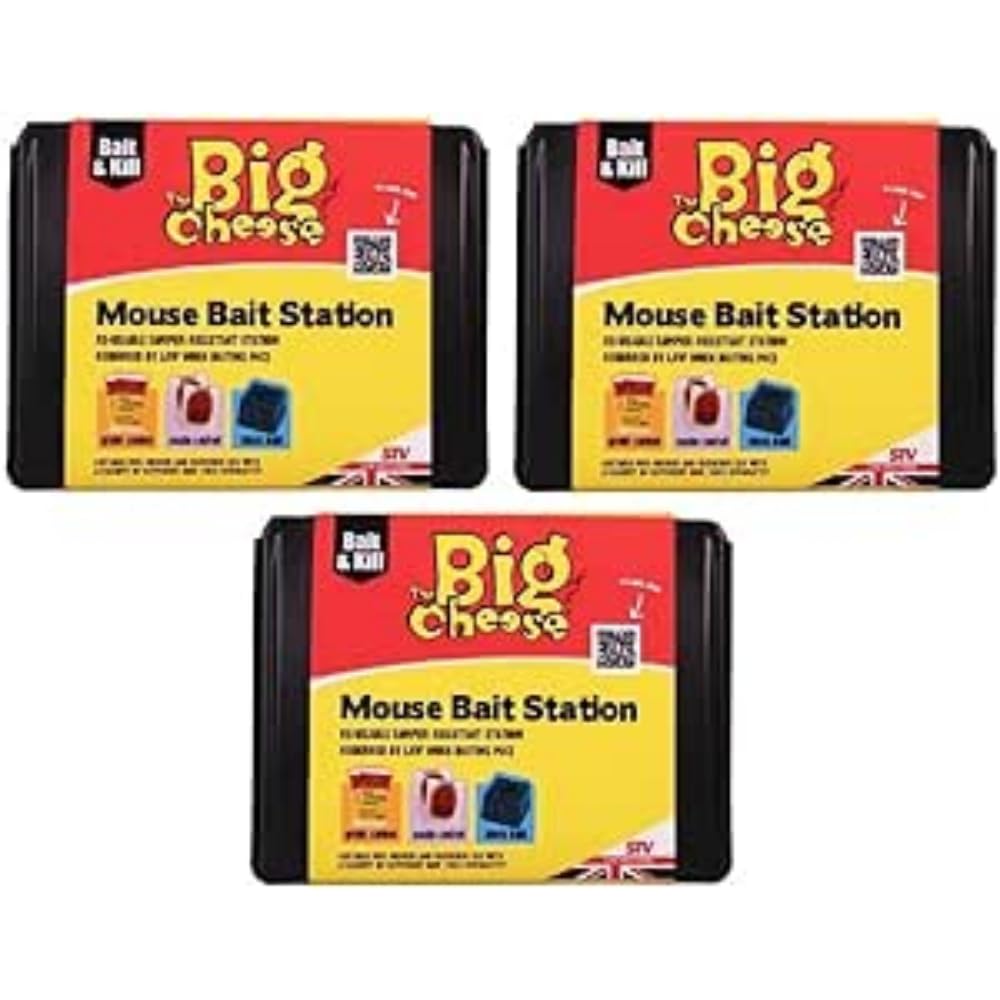 The Big Cheese Mouse Bait Station Unbaited x3, black : Amazon.co.uk: Garden