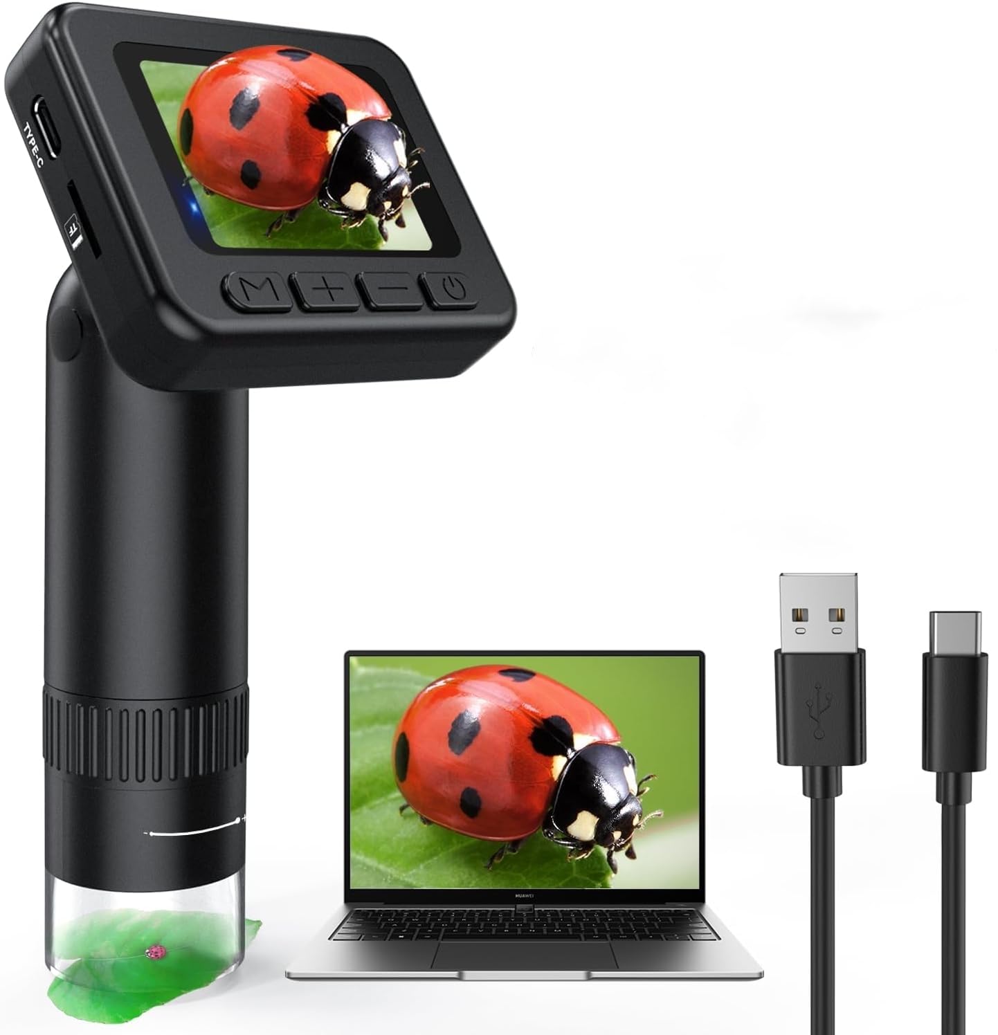 Amazon.com : IMICHI Microscope for Kids 50X-1000X Magnification- 2 inch ...